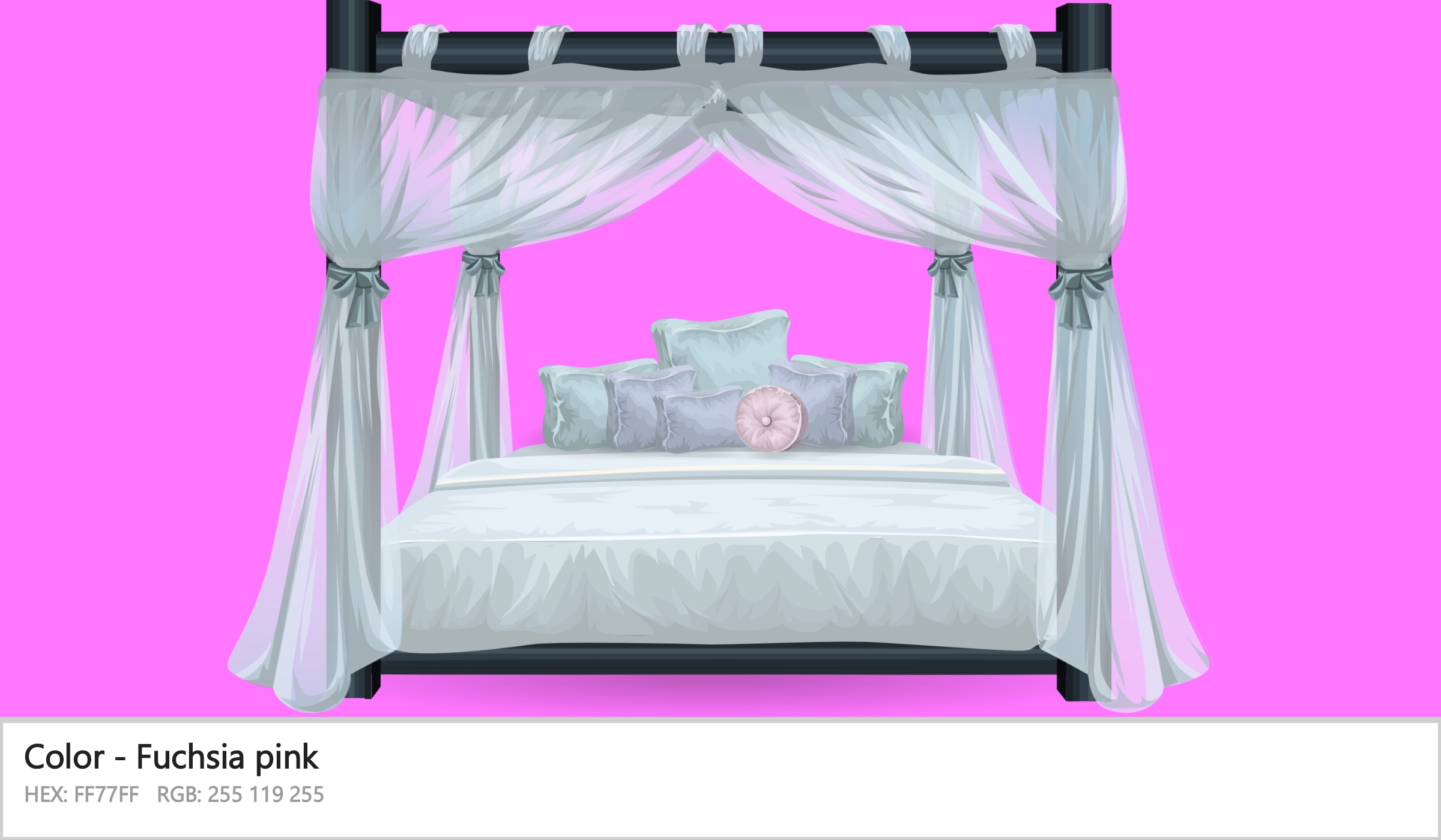 About Fuchsia Pink - Color codes, similar colors and paints - colorxs.com